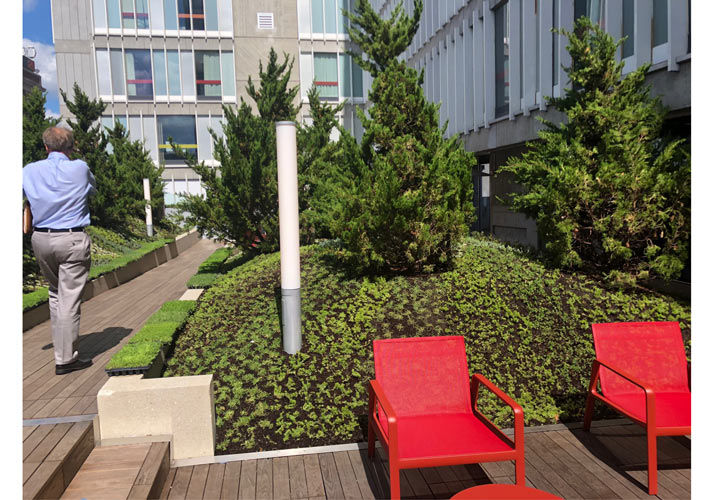 Look inside Harvard's new Smith Center, luxurious space for school and ...