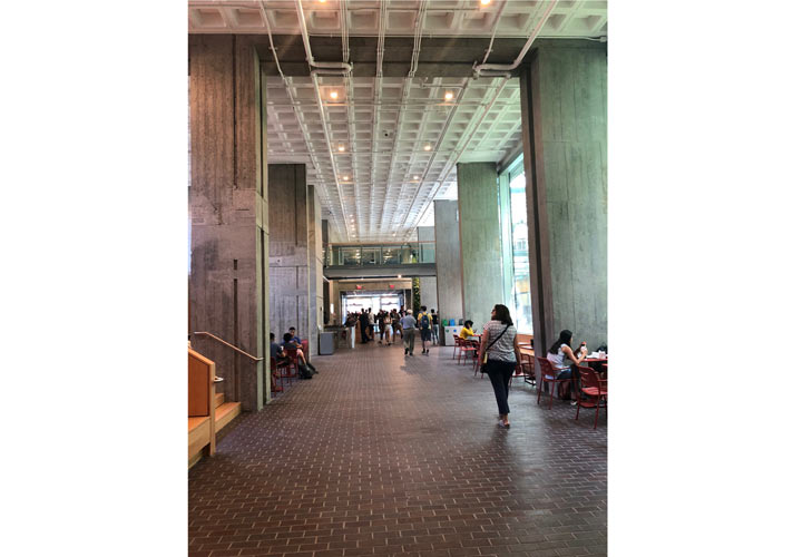 Look inside Harvard's new Smith Center, luxurious space for school and ...