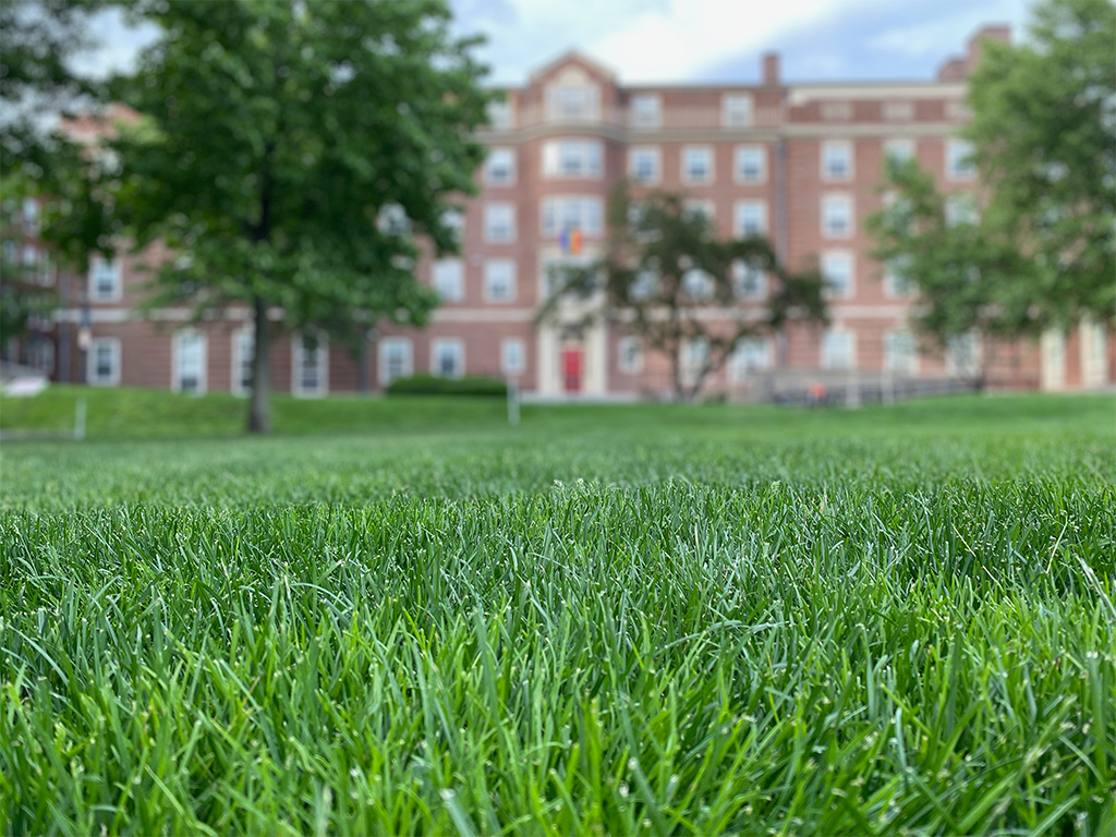 Unpopular opinion: Harvard students might find conflict resolutions ...