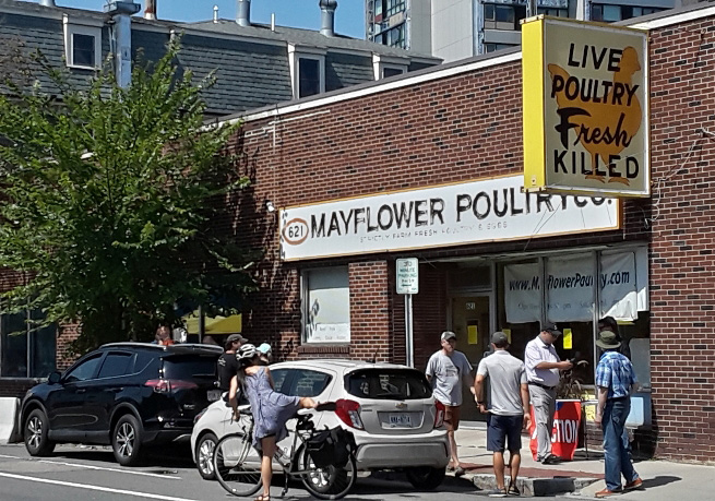 Where the 'Live Poultry Fresh Killed' sign will go becomes the question ...