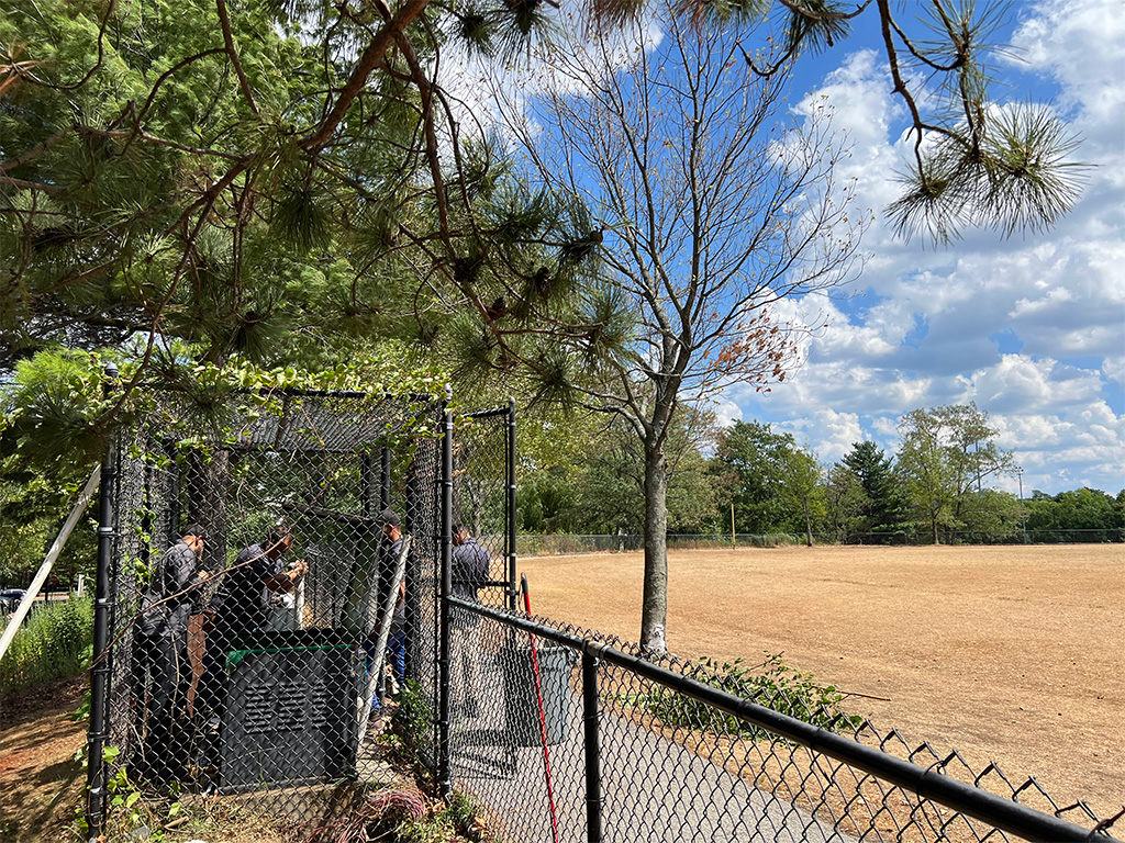 Danehy: Drought and failed irrigation were fatal, and trees at the park ...