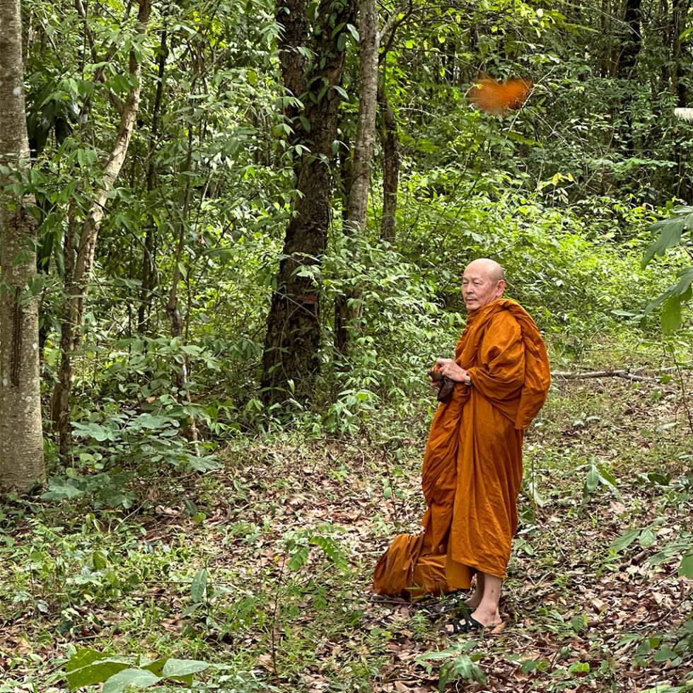 Ring of poison, barrel of rain - Cambridge Day