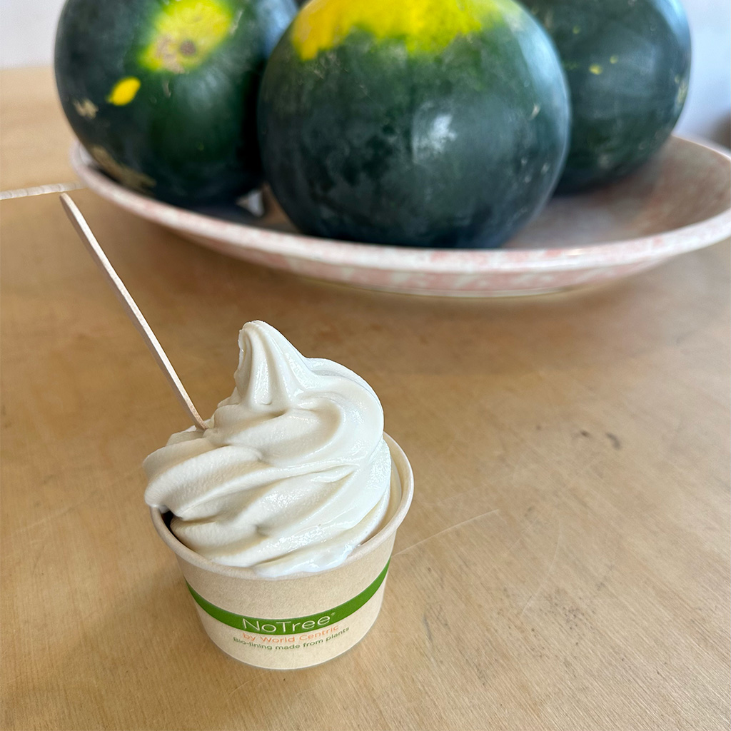 Maple soft serve at Momma’s Grocery + Wine - Cambridge Day