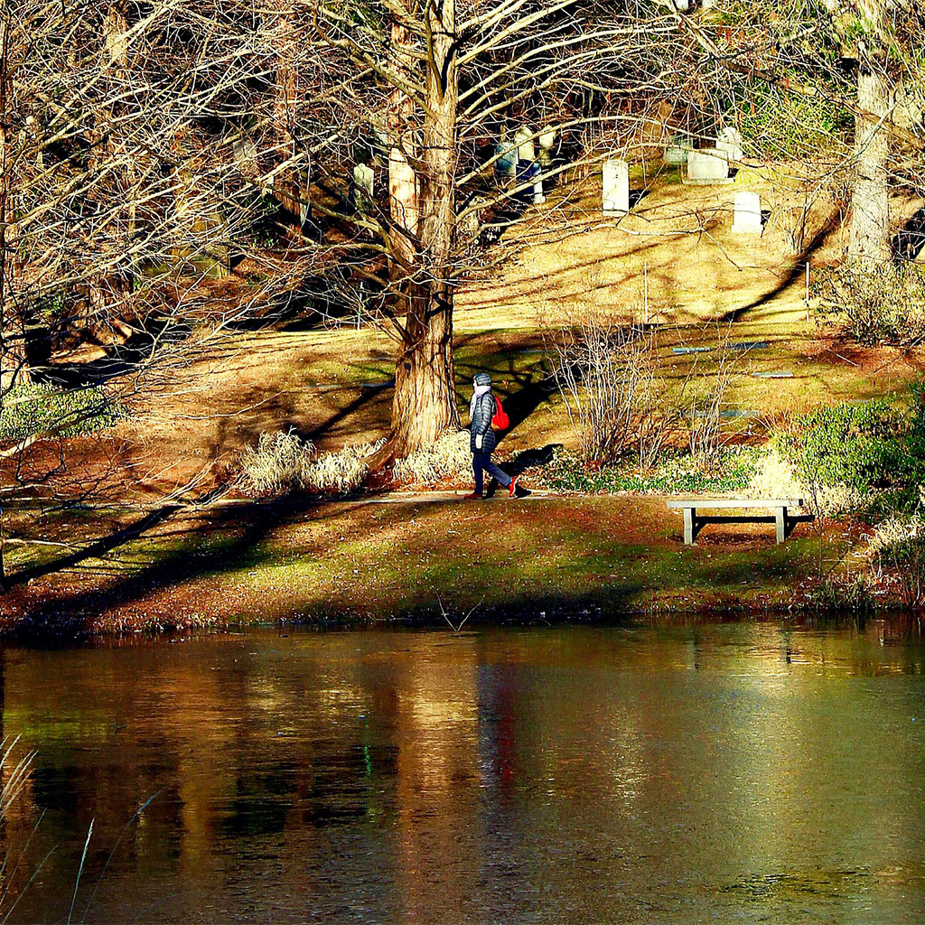 A week of events in Cambridge and Somerville from kayaking to Celtic ...