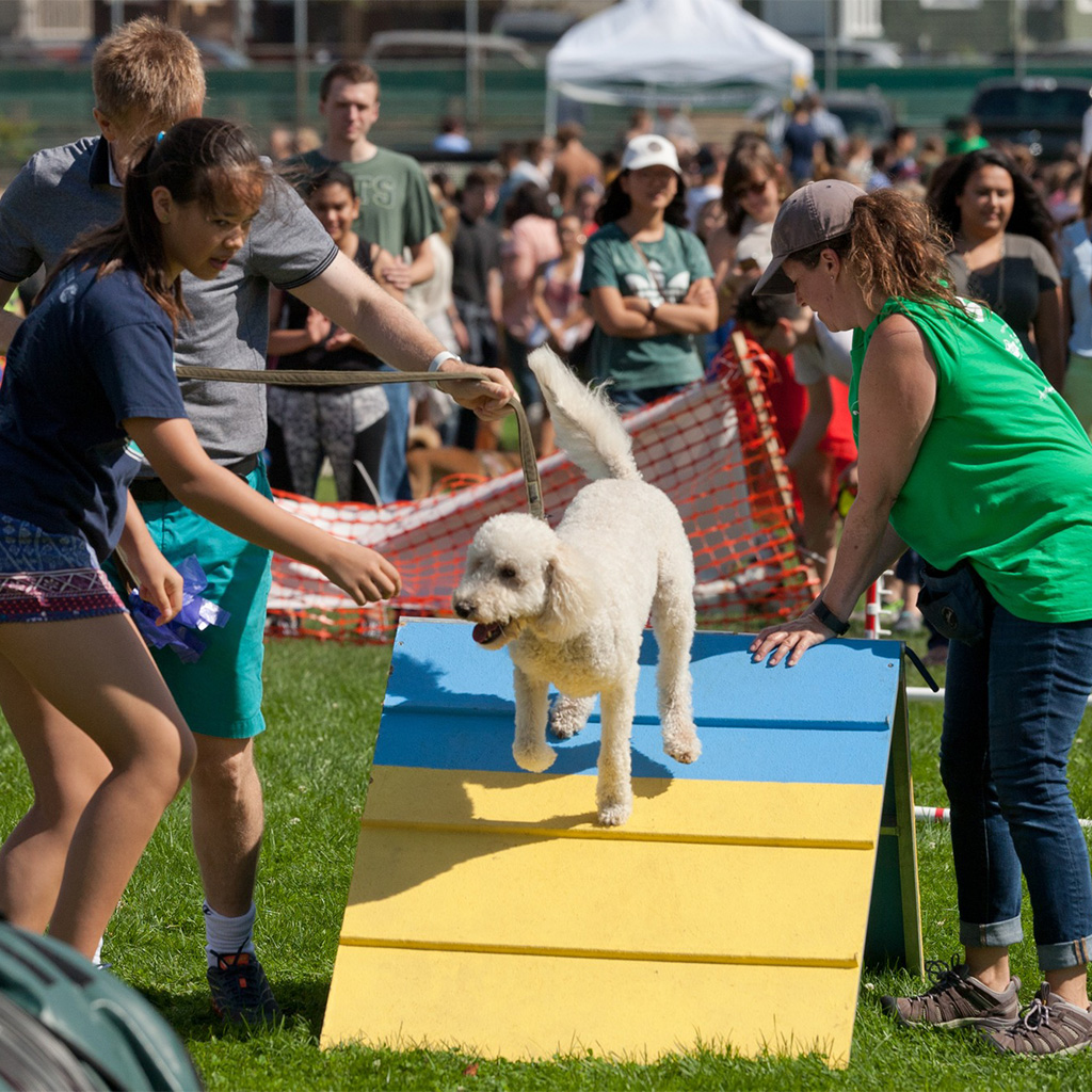 A week of events in Cambridge and Somerville, from Cambridge Science to ...