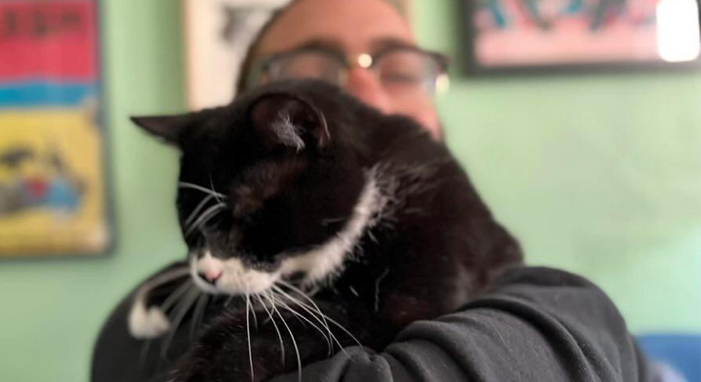 Rocking the basement in Harvard's Tasty Burger, a sizzling bill served ...