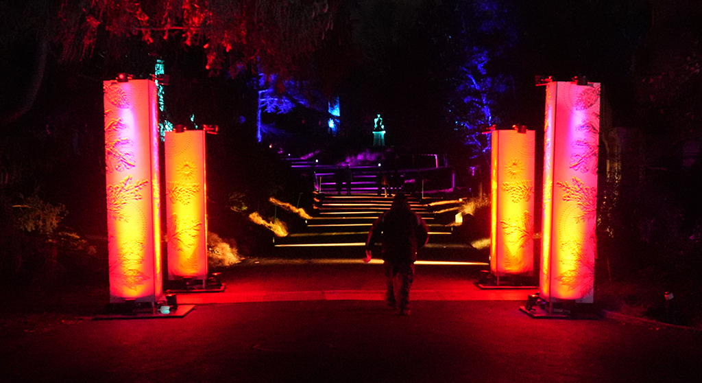 Seasonal Solstice art and Maccabee Bar pop-up capture a moment in ...