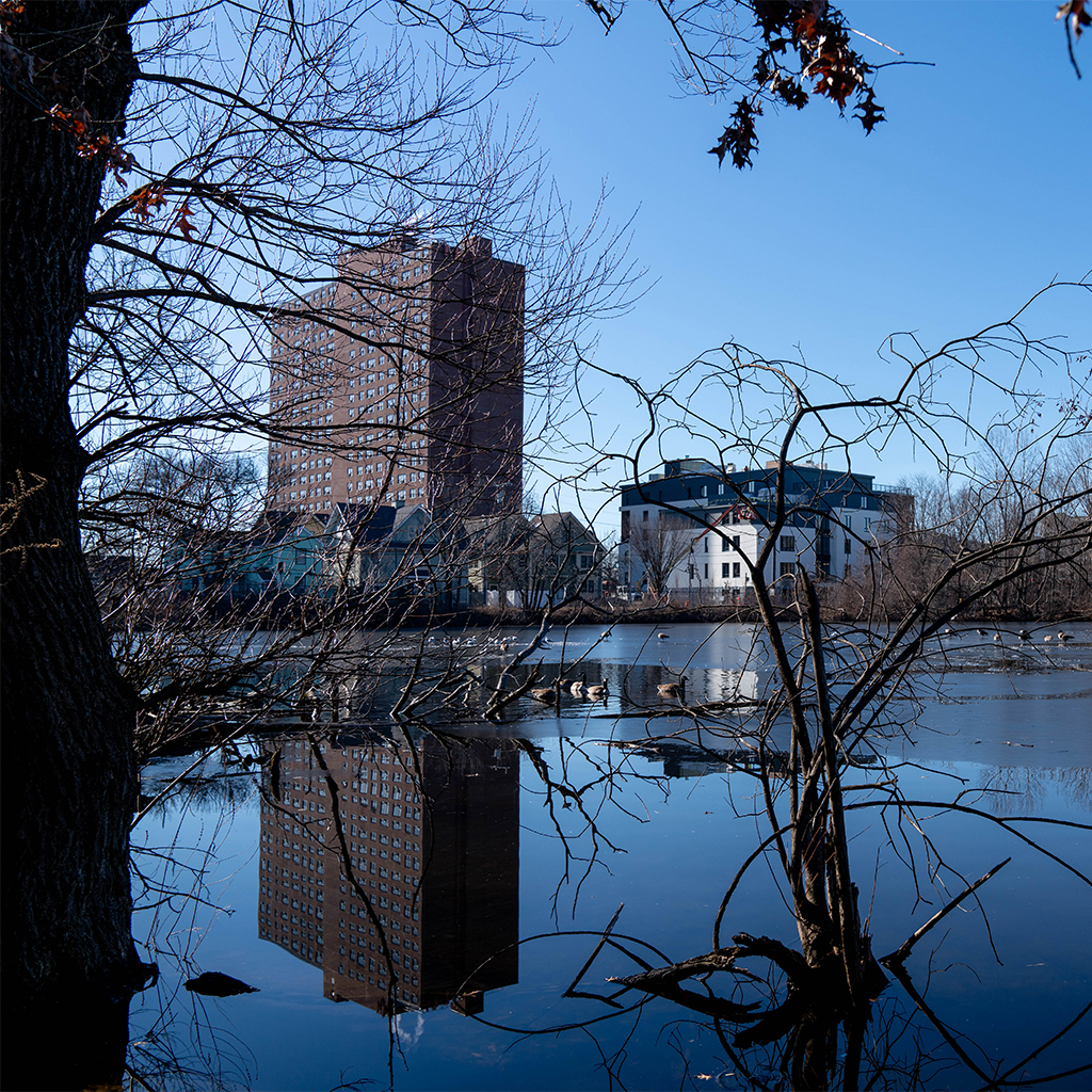 Jerry's Pond reclamation project leaps forward with an approval by ...