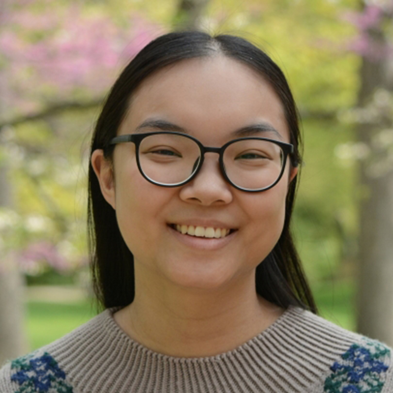 Recent Wellesley grad debuts with ‘Dear Wendy,’ an aromantic/asexual YA take on campus novel ...