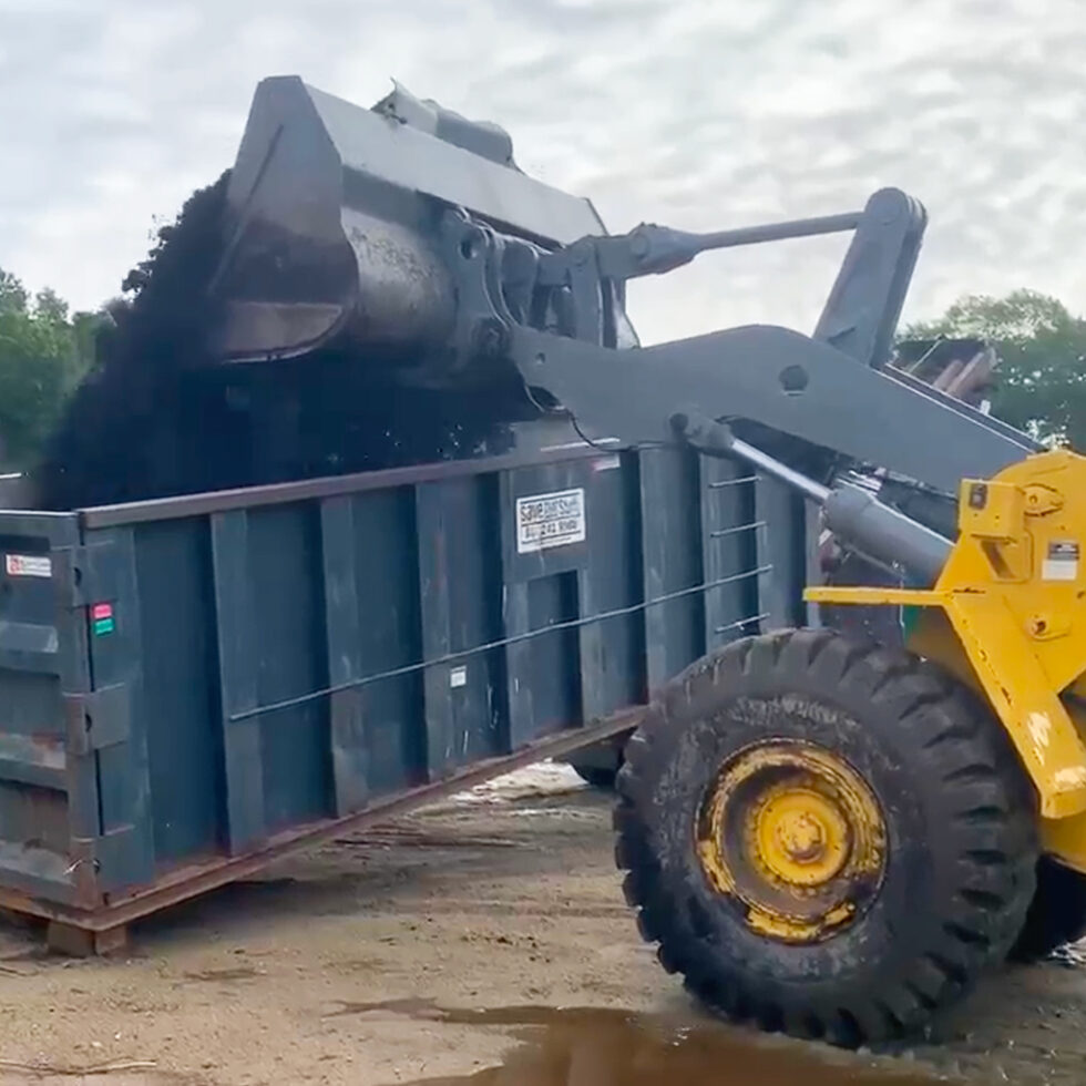 Cambridge Earth Day celebration arrives early: Saturday there's free ...