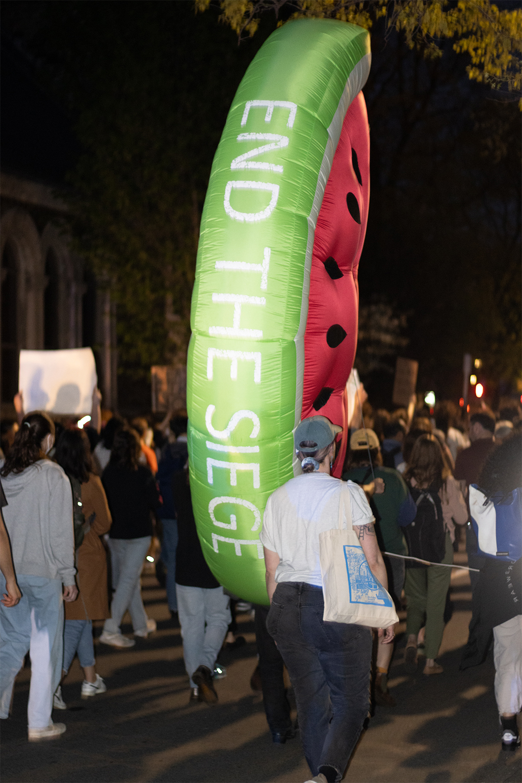 Students at Harvard and MIT continue protests despite school warnings ...