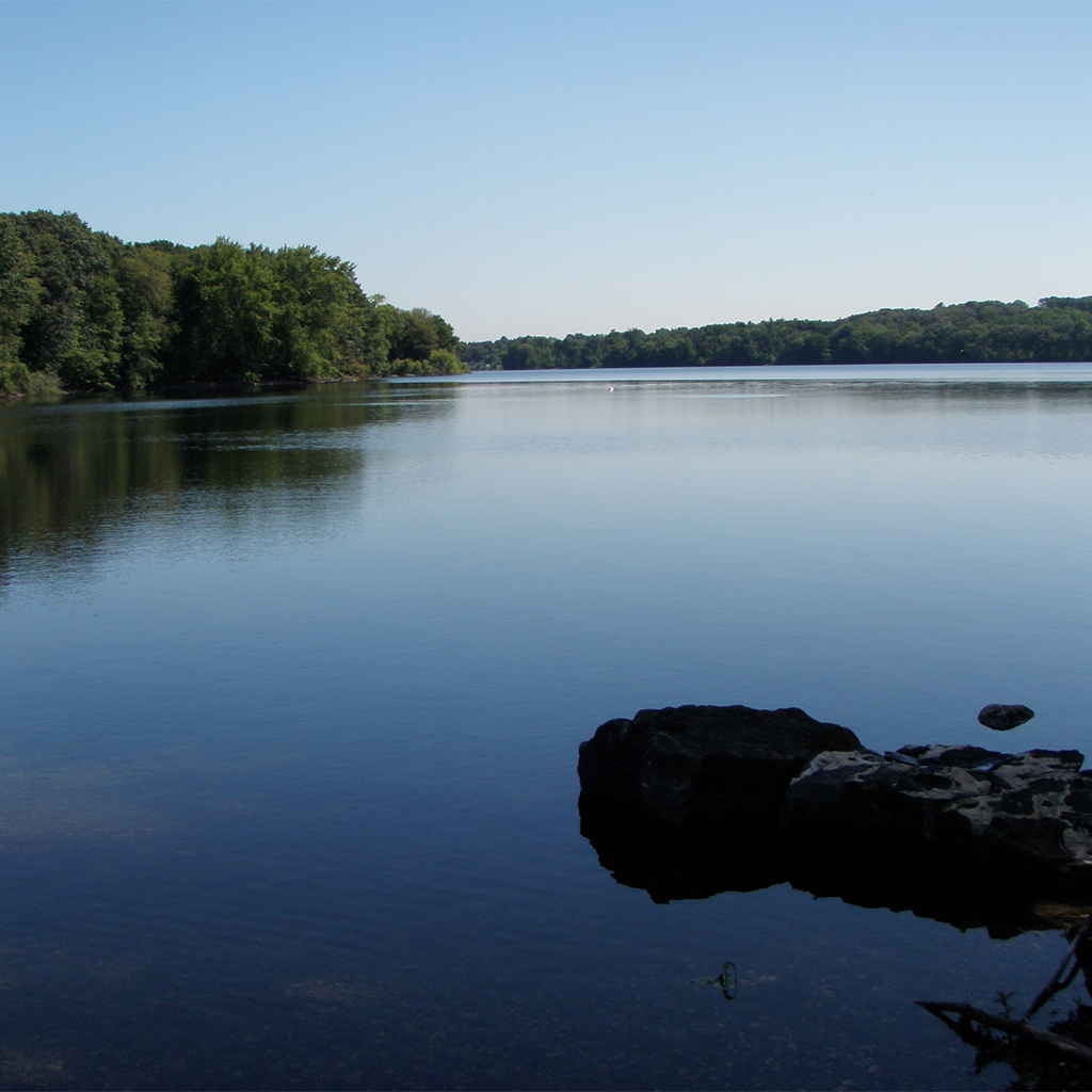Settlement with gas company spares trees around reservoir that is main ...