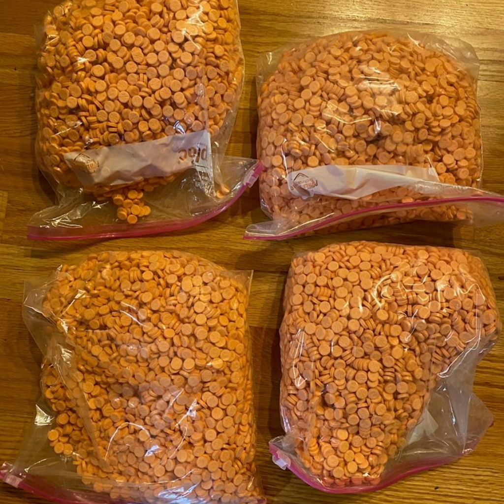 Cambridge pill shark pleads guilty - Cambridge Day