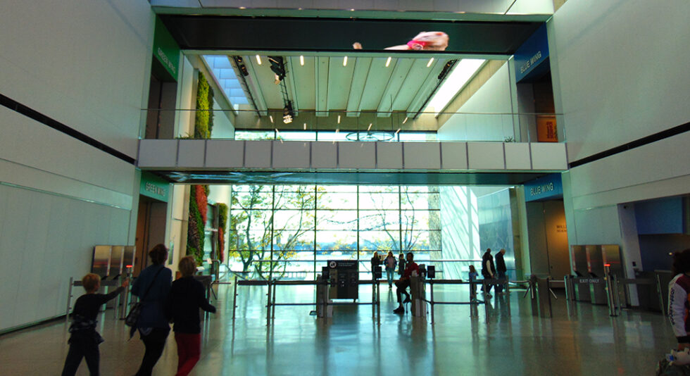 Man is held after incident in Museum of Science restroom - Cambridge Day