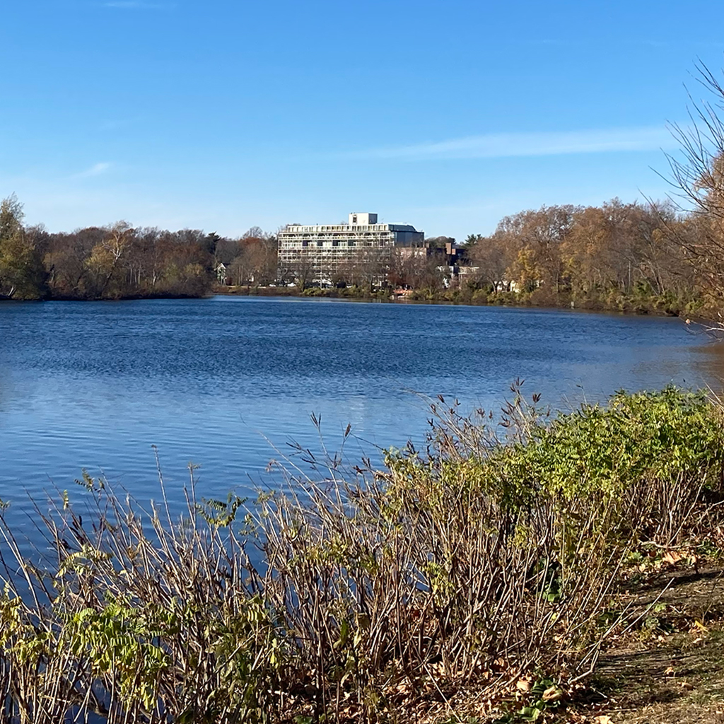 Cantabrigians forced to evacuate luxury condos face insurance denial ...