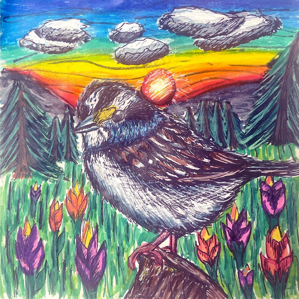 Cambridge City Nature Art Challenge winners enliven storefronts with ...