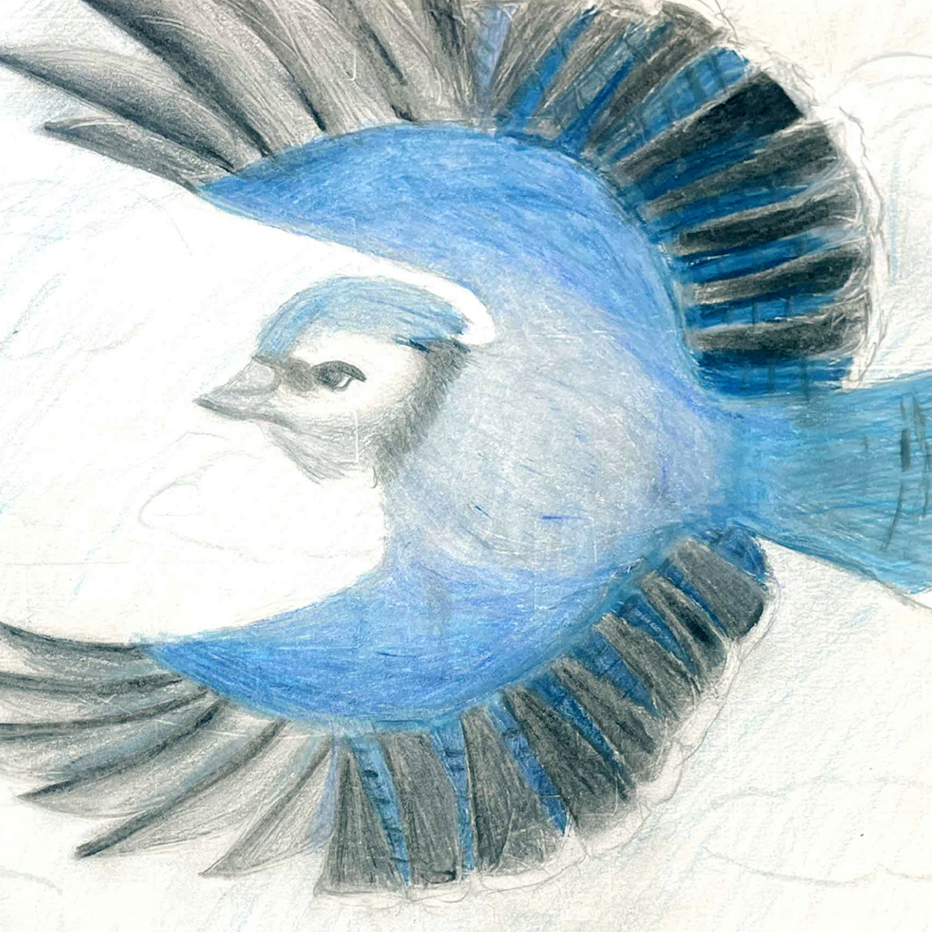 Cambridge City Nature Art Challenge winners enliven storefronts with ...