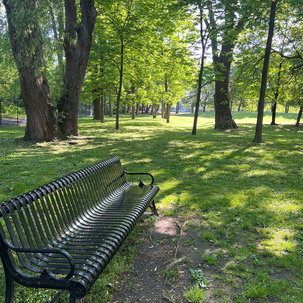 Cambridge’s ‘pocket parks’ reflect the city’s growth and development ...