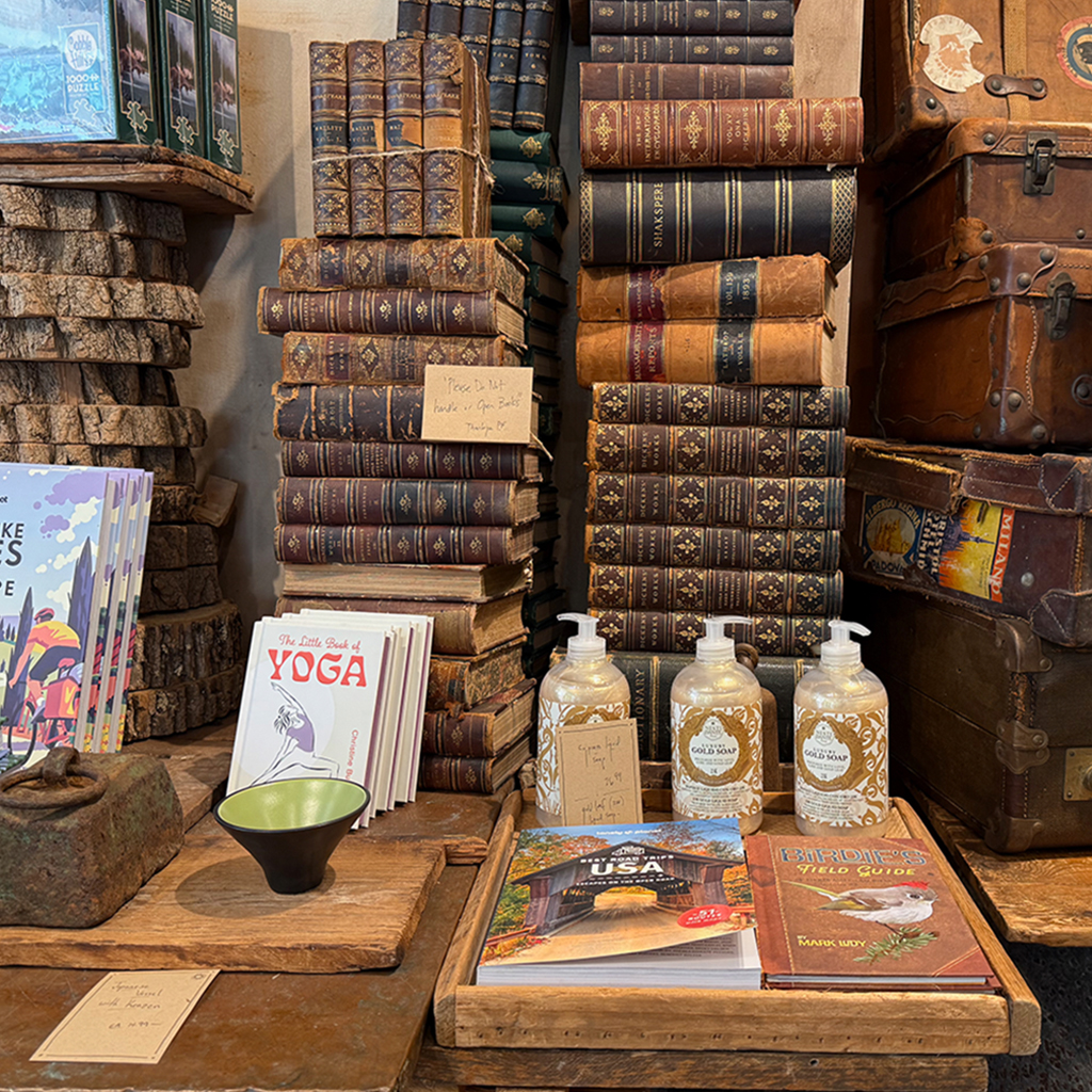 Anne Bernays' favorites in Harvard Square and beyond - Cambridge Day