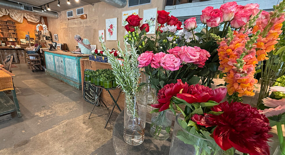 Anne Bernays' favorites in Harvard Square and beyond - Cambridge Day