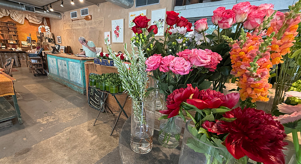 Anne Bernays' favorites in Harvard Square and beyond - Cambridge Day