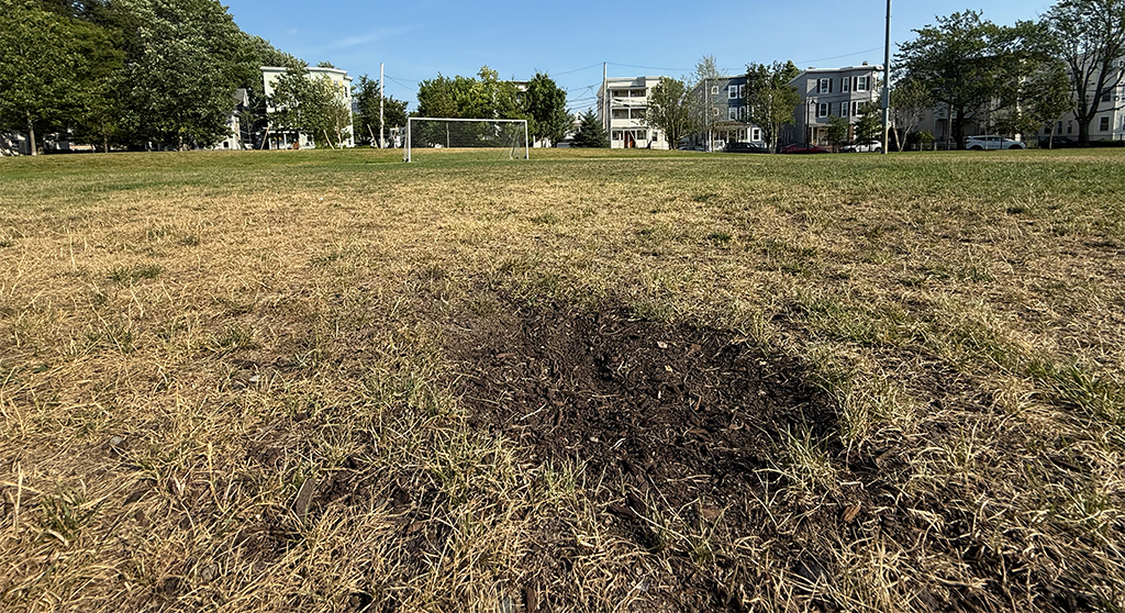 Argenziano students make a pitch for switching Lincoln Park field into ...