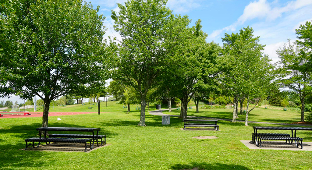 Danehy Park turns 35, a dump that became a glowing urban emerald ...