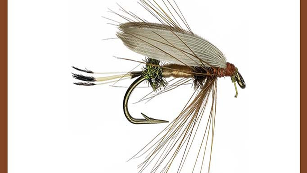 Catch Lance Hidy's trout flies before they're gone - Cambridge Day