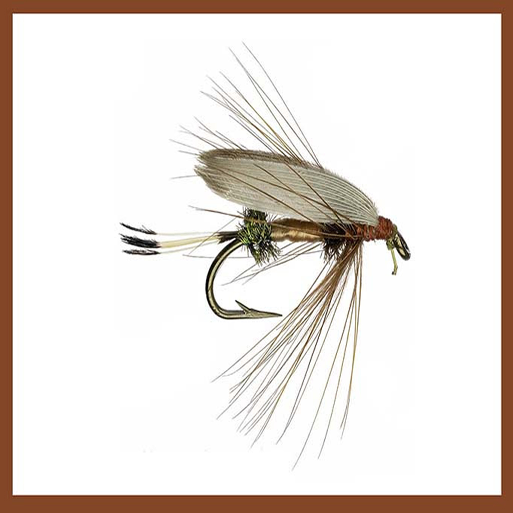 Catch Lance Hidy's trout flies before they're gone - Cambridge Day