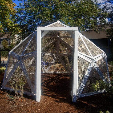 ‘Letters Rewoven’ transforms residents’ words into ephemeral art ...